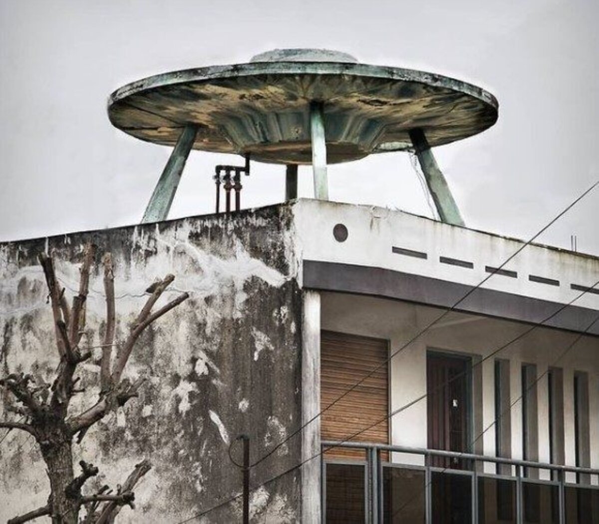 Picnic extraterrestre: El poeta y el stalker - Revista La Acacia